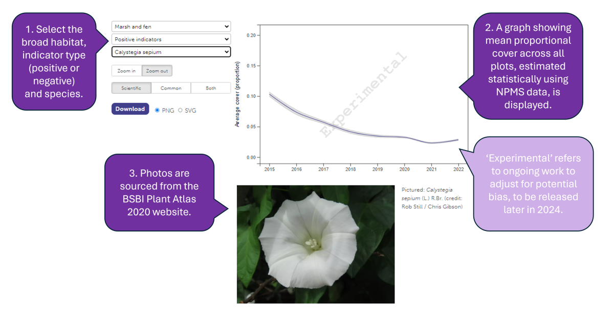 NPMS indicator species trends by habitat now available! | National Plant Monitoring Scheme